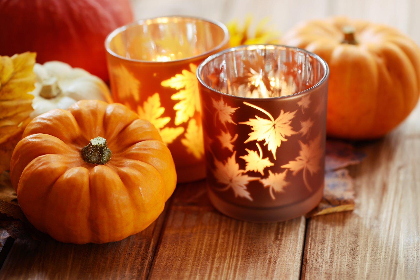Fall in Order: A Guide to Organizing Your Seasonal Decorations - MyStackBox