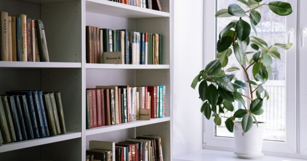 The Ultimate Guide to Long-Term Book Storage - MyStackBox