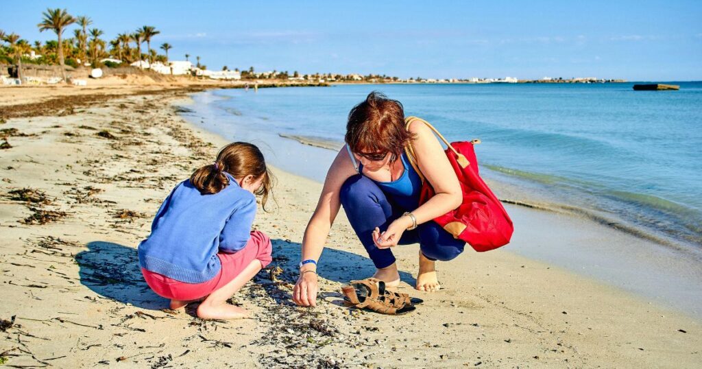 Best Beaches in South Florida for Seashell Collecting - MyStackBox